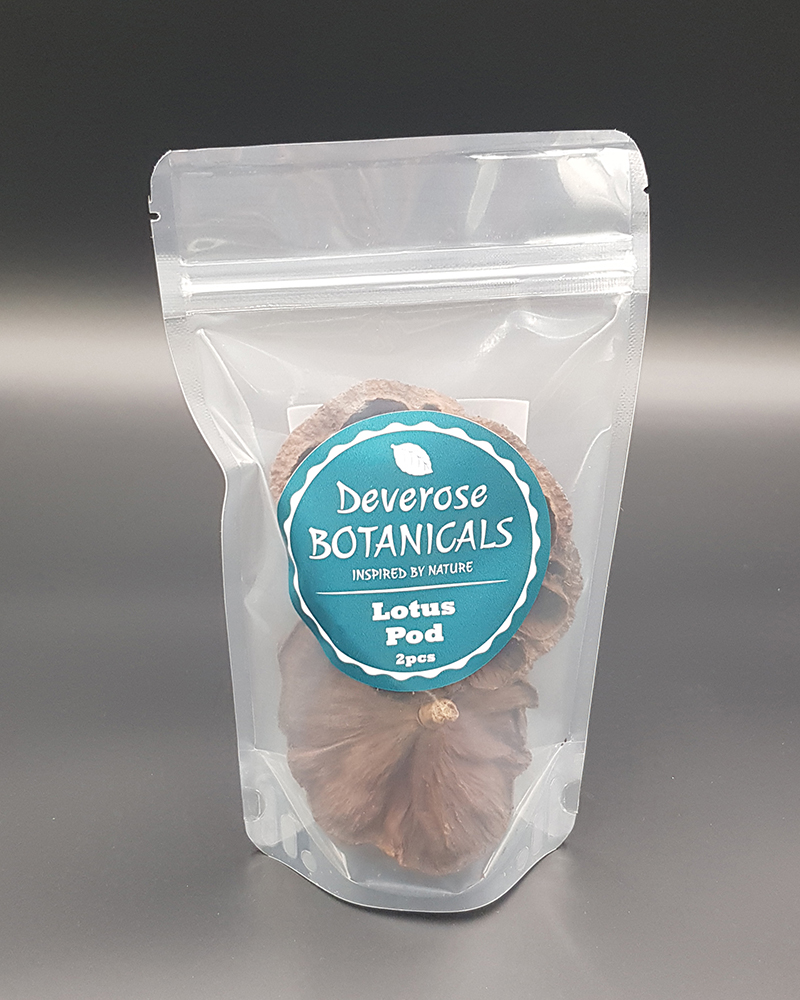 Deverose Lotus Pods (Large) – Deverose Aquatics